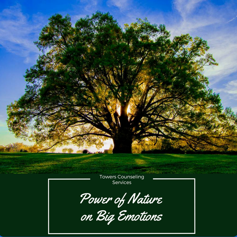 Power of Nature on Big Emotions | Towers Counseling Services